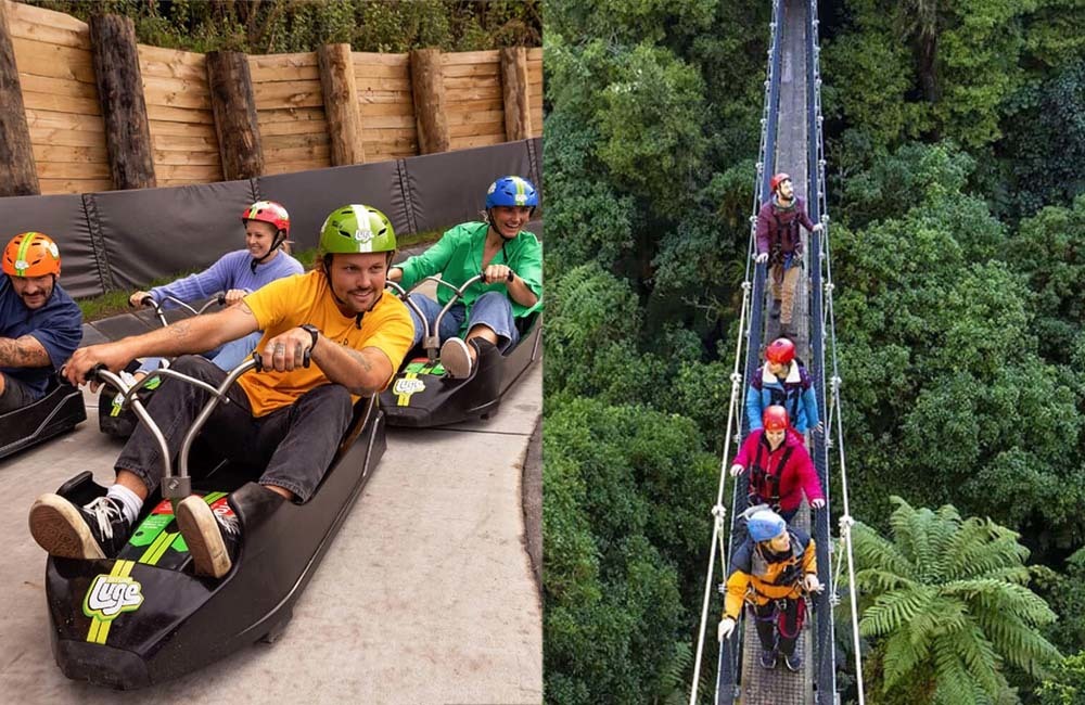 Rotorua Tourist Attractions - Skyline - Luge - Bookings